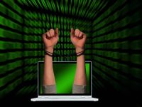 Teraleak: Pokémon Developer Game Freak Hacked; Decades of Data Leaked ...