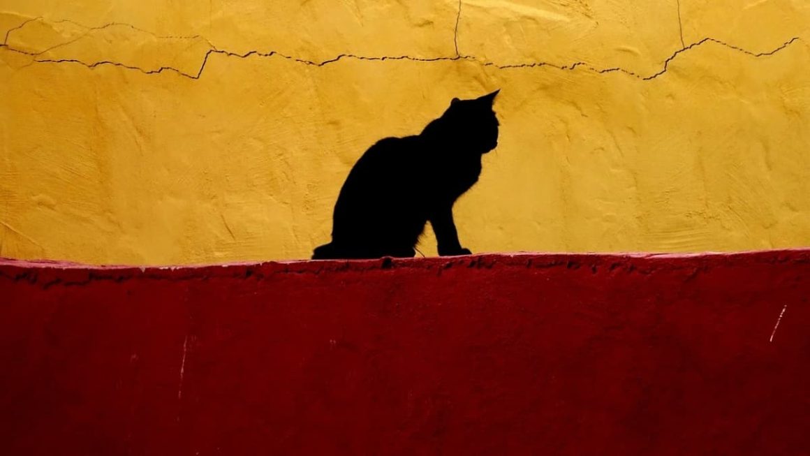 ALPHV (BlackCat) Ransomware Using Google Ads to Target Victims ...