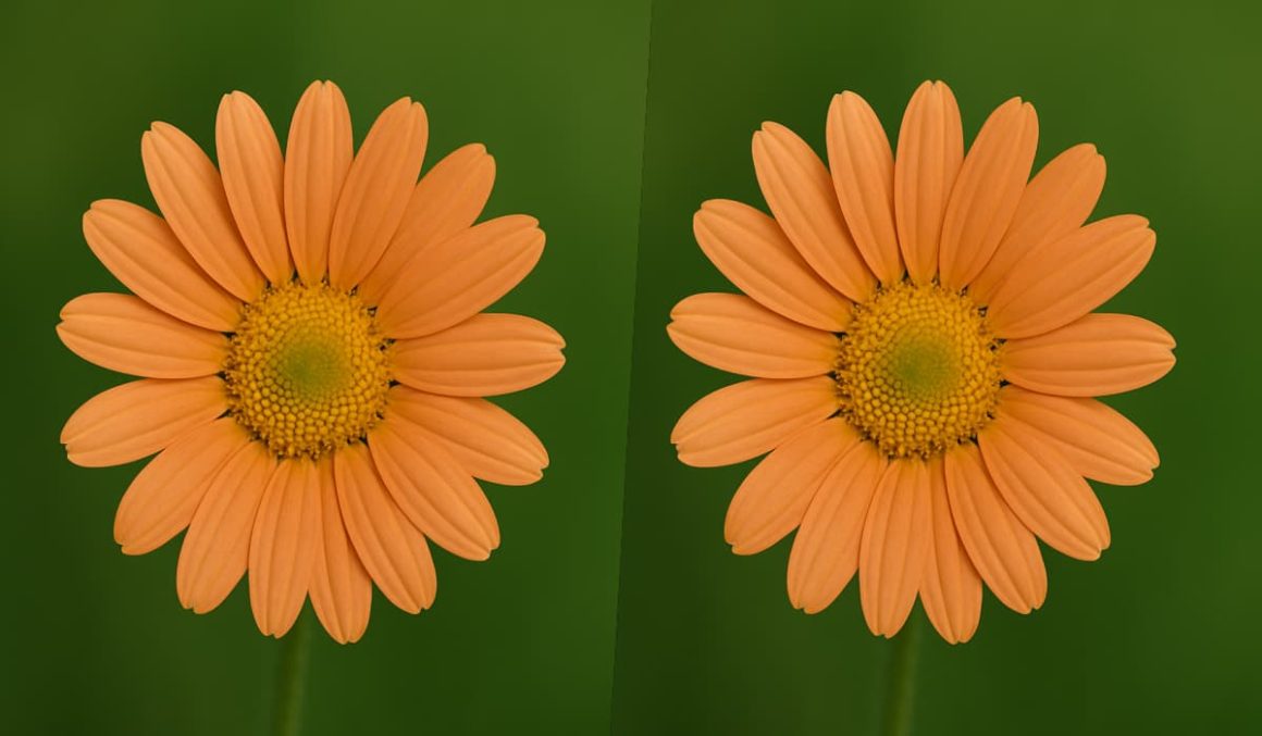 Why Image Quality Drops When Resizing a JPEG (and How to Fix It)