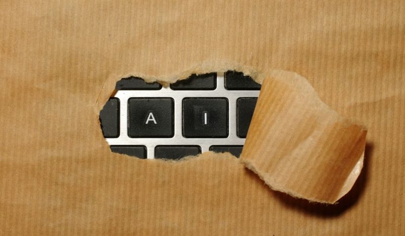 AI and Regulation: How to Explain the ‘Black Box’ to Tax Authorities